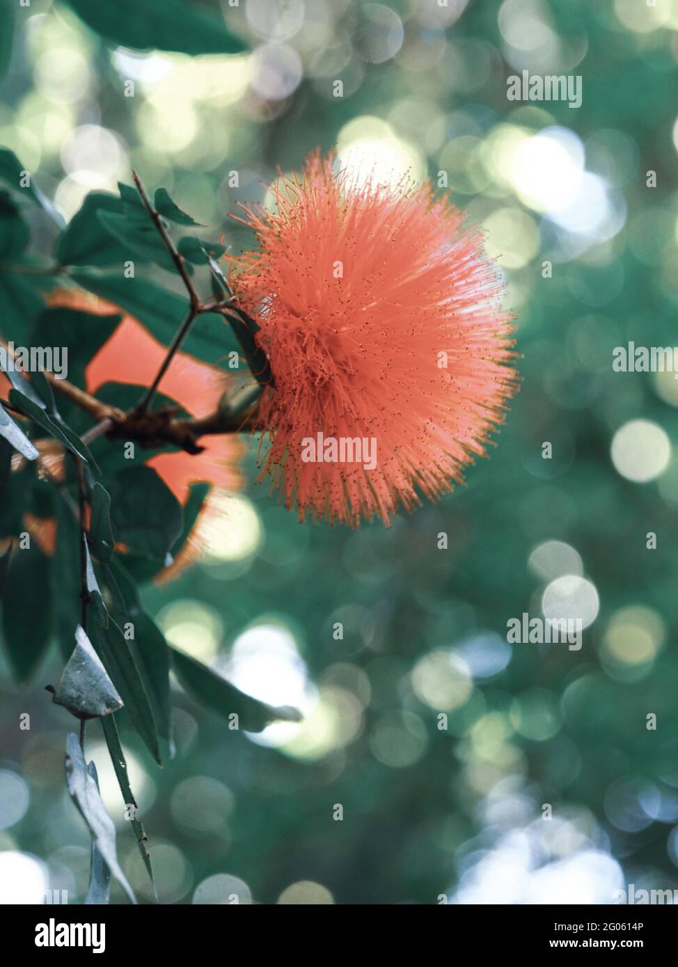 Autumn Fall Season Stock Photo - Alamy