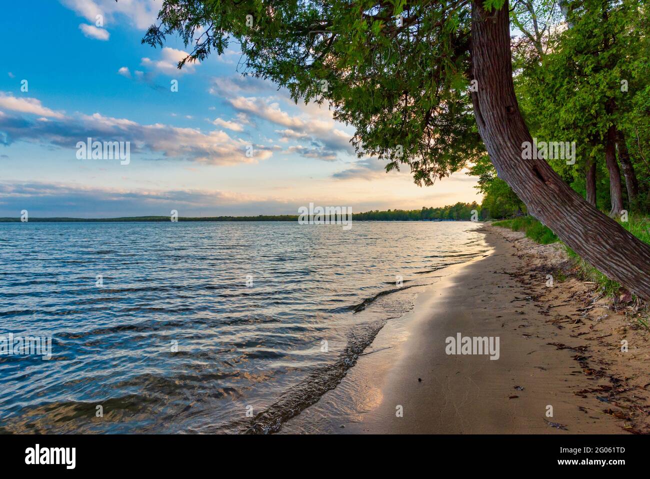 Beautiful lakeshore of Higgins Lake State Park in northern Michigan ...