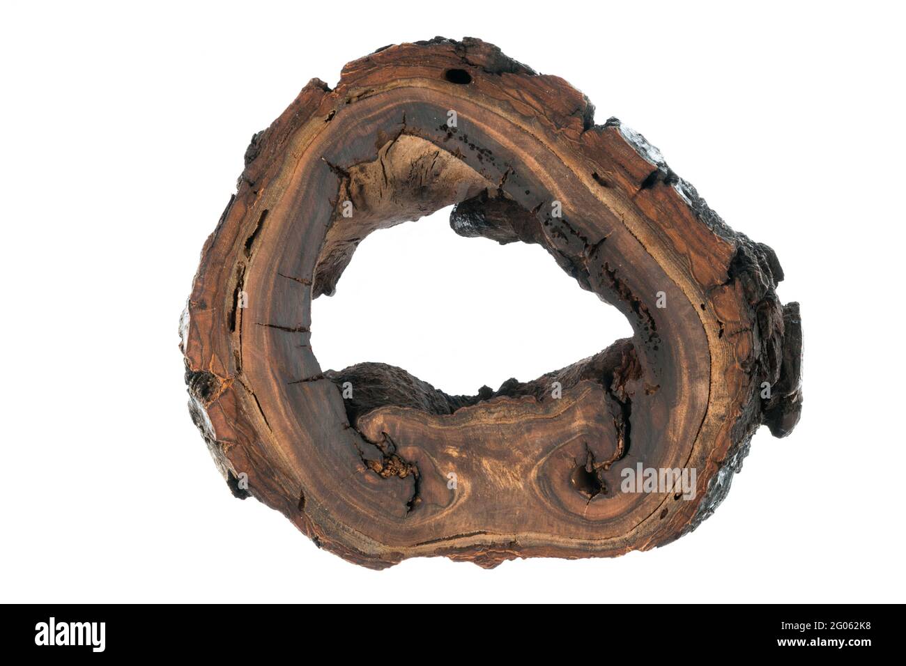 Rotten walnut hi-res stock photography and images - Alamy