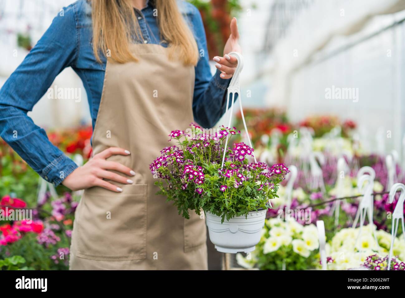 Woman is owning small business greenhouse store. She is holding flower in pot. Female ...
