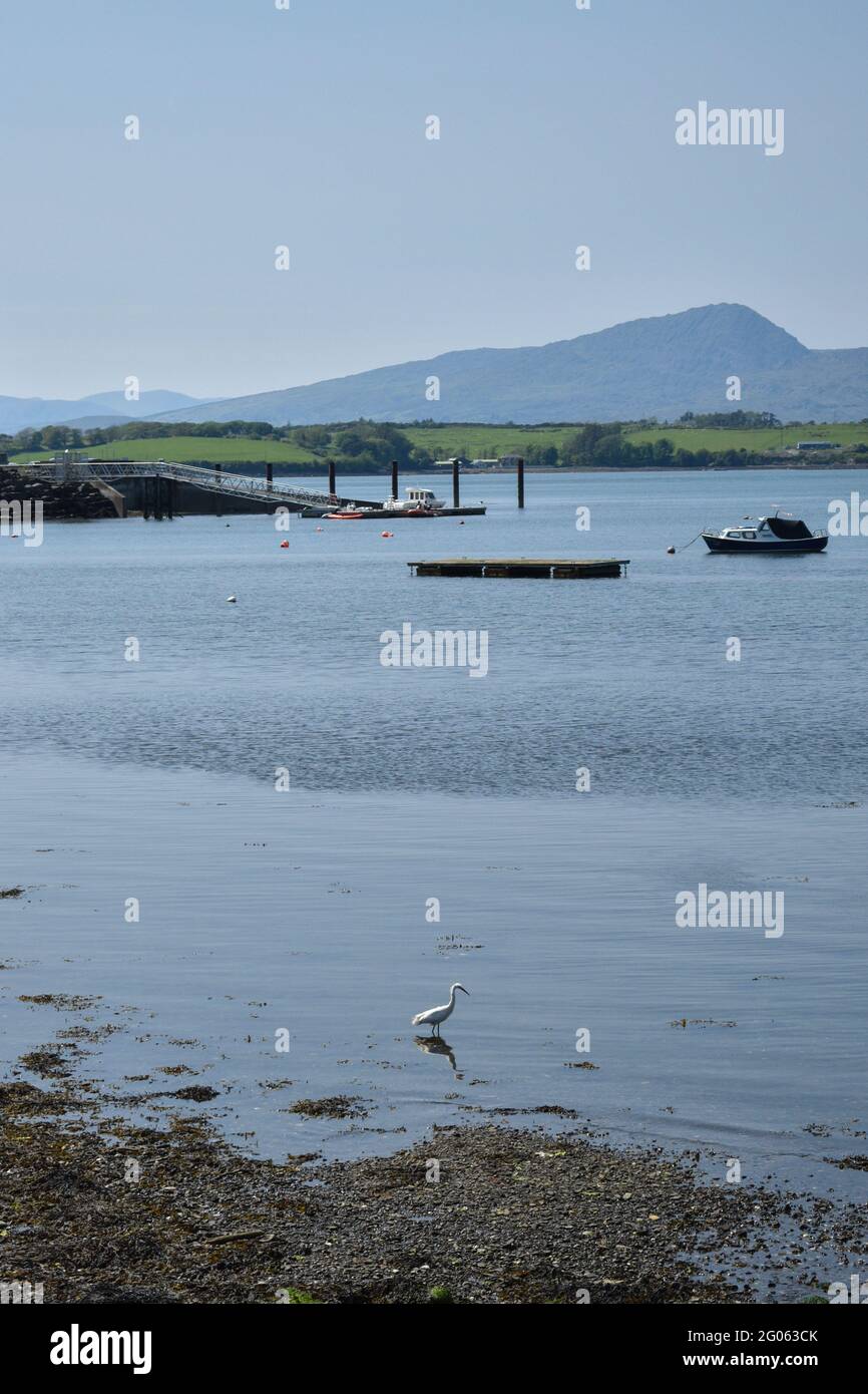 Lovely sunny day in ireland hi-res stock photography and images - Alamy