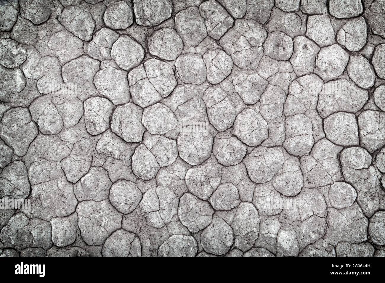 Cracked land texture. Beautiful nature background for your project ...