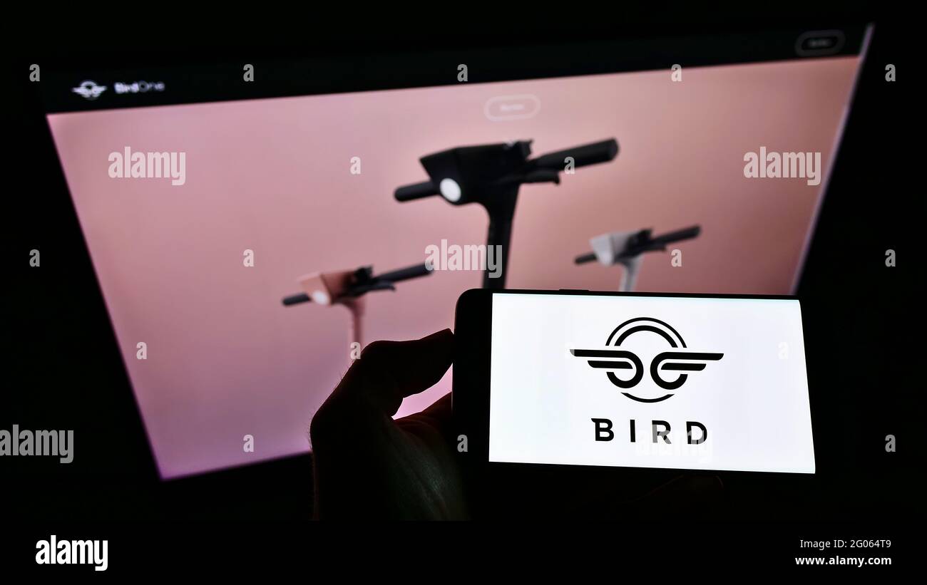 Bird logo hi-res stock photography and images - Alamy