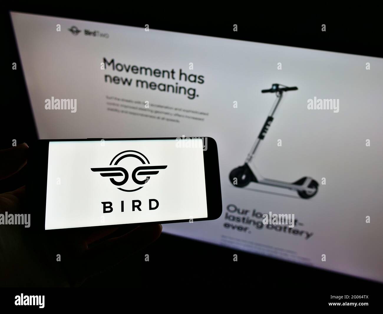 Person holding bird hi-res stock photography and images - Alamy