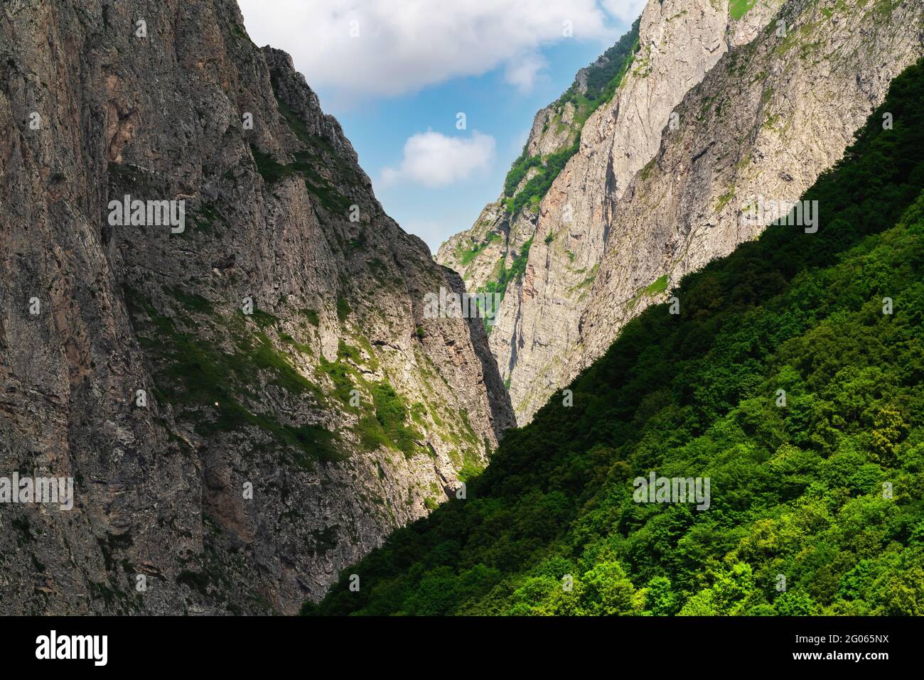 Mountain gorge with steep slopes overgrown with forest Stock Photo - Alamy