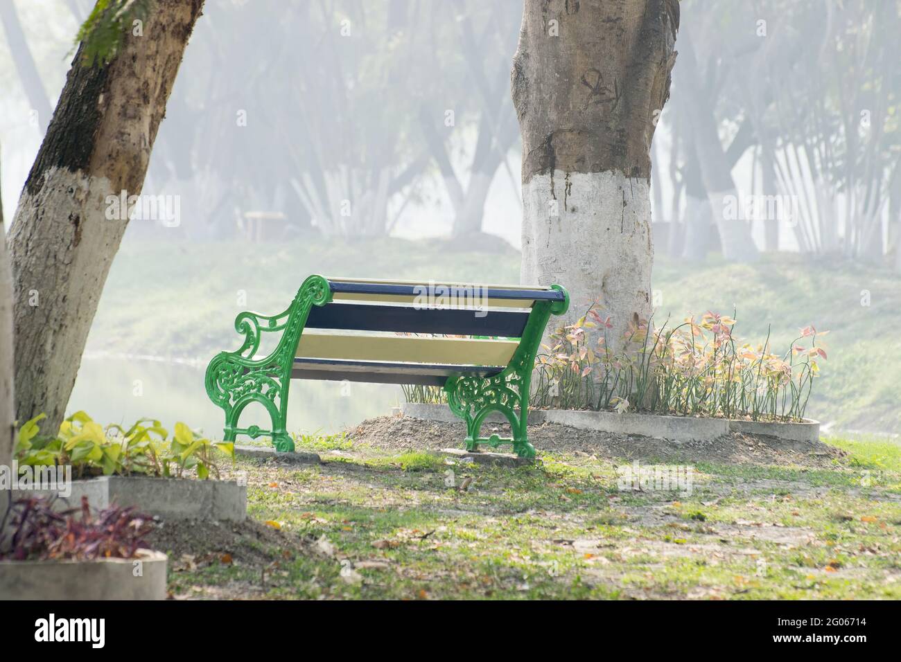 Beautiful image of a single park bench, symbol of peace with trees and ...