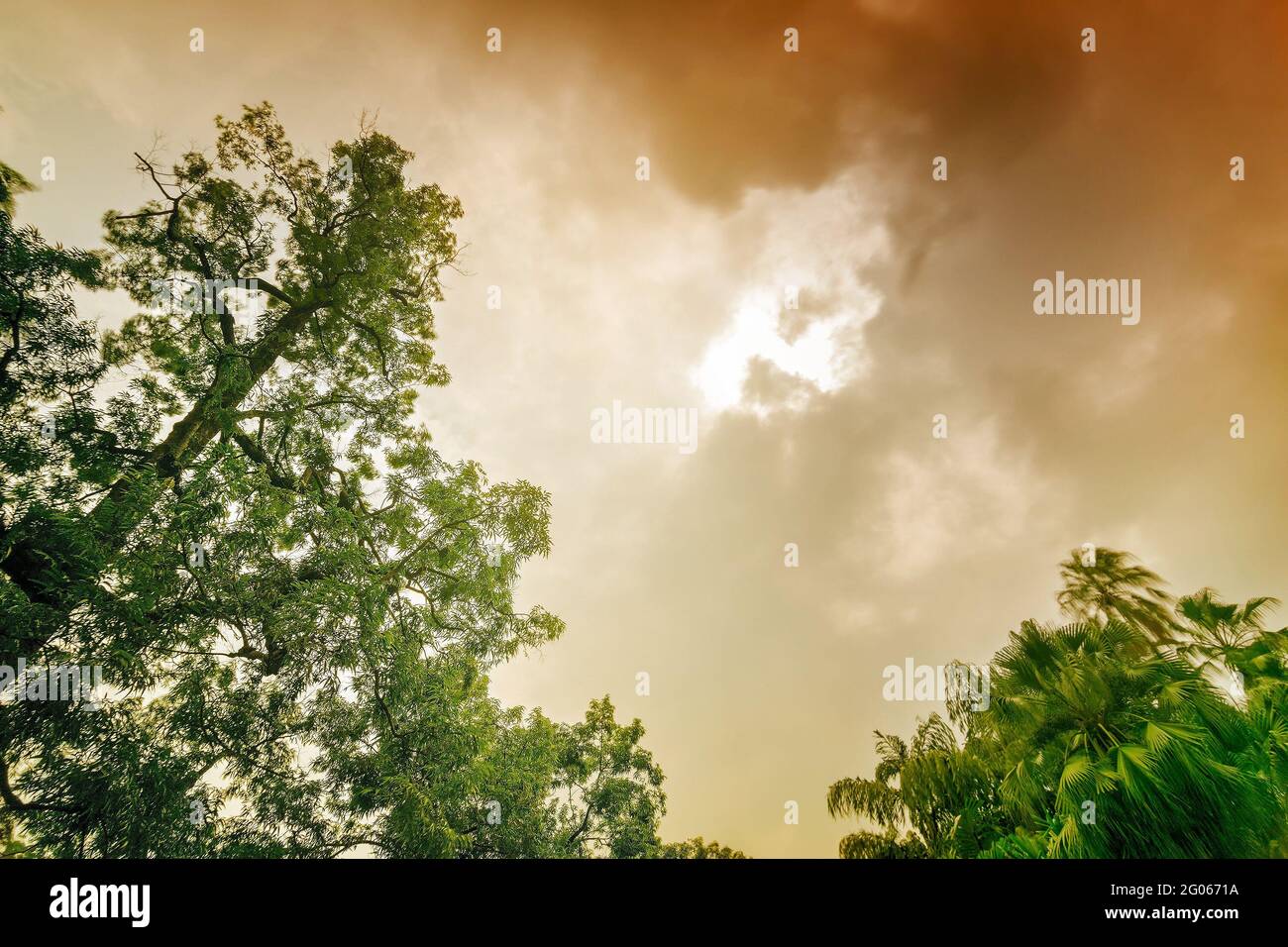 Dramatic environment hi-res stock photography and images - Alamy