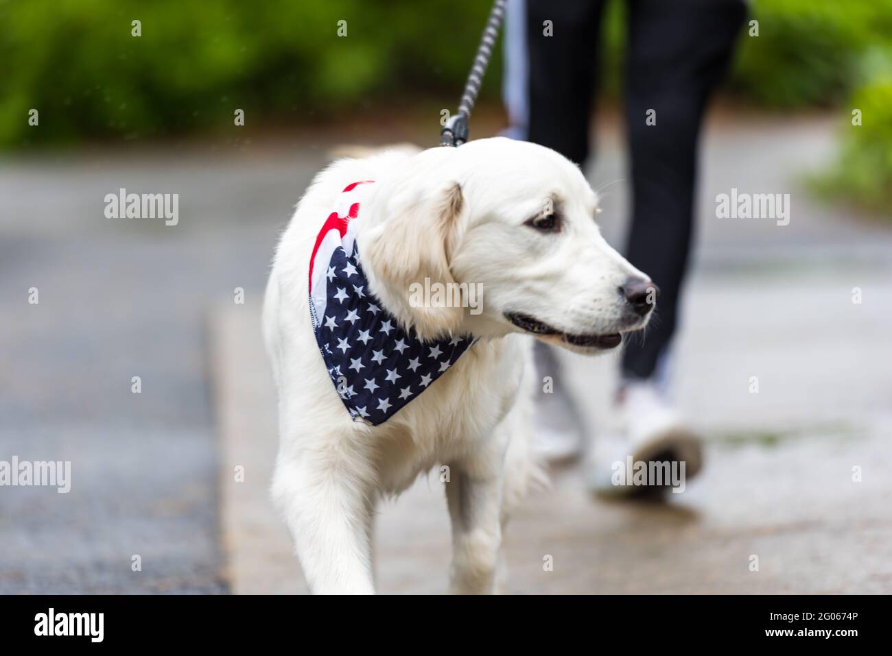 American flag scarf hi-res stock photography and images - Alamy