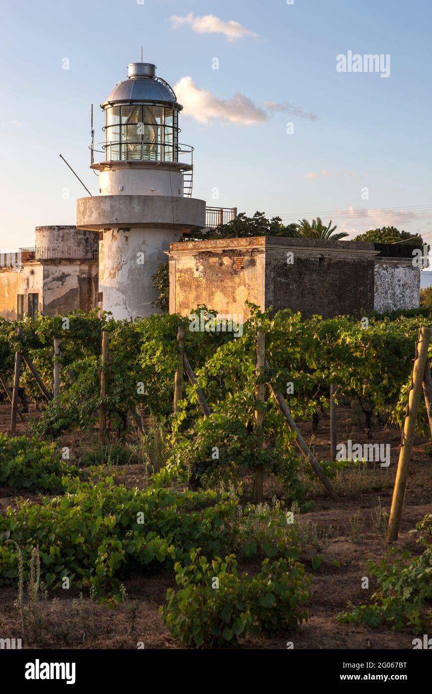 Capofaro resort, vineyards, lighthouse, Salina island, Aeolian Islands ...