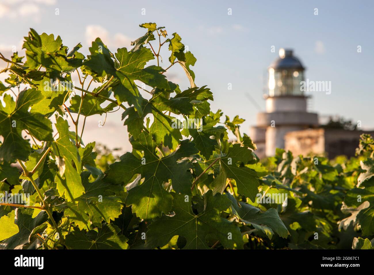 Capofaro resort, vineyards, lighthouse, Salina island, Aeolian Islands ...