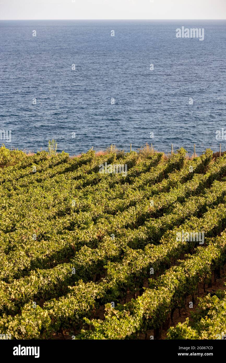 Capofaro resort hi-res stock photography and images - Alamy