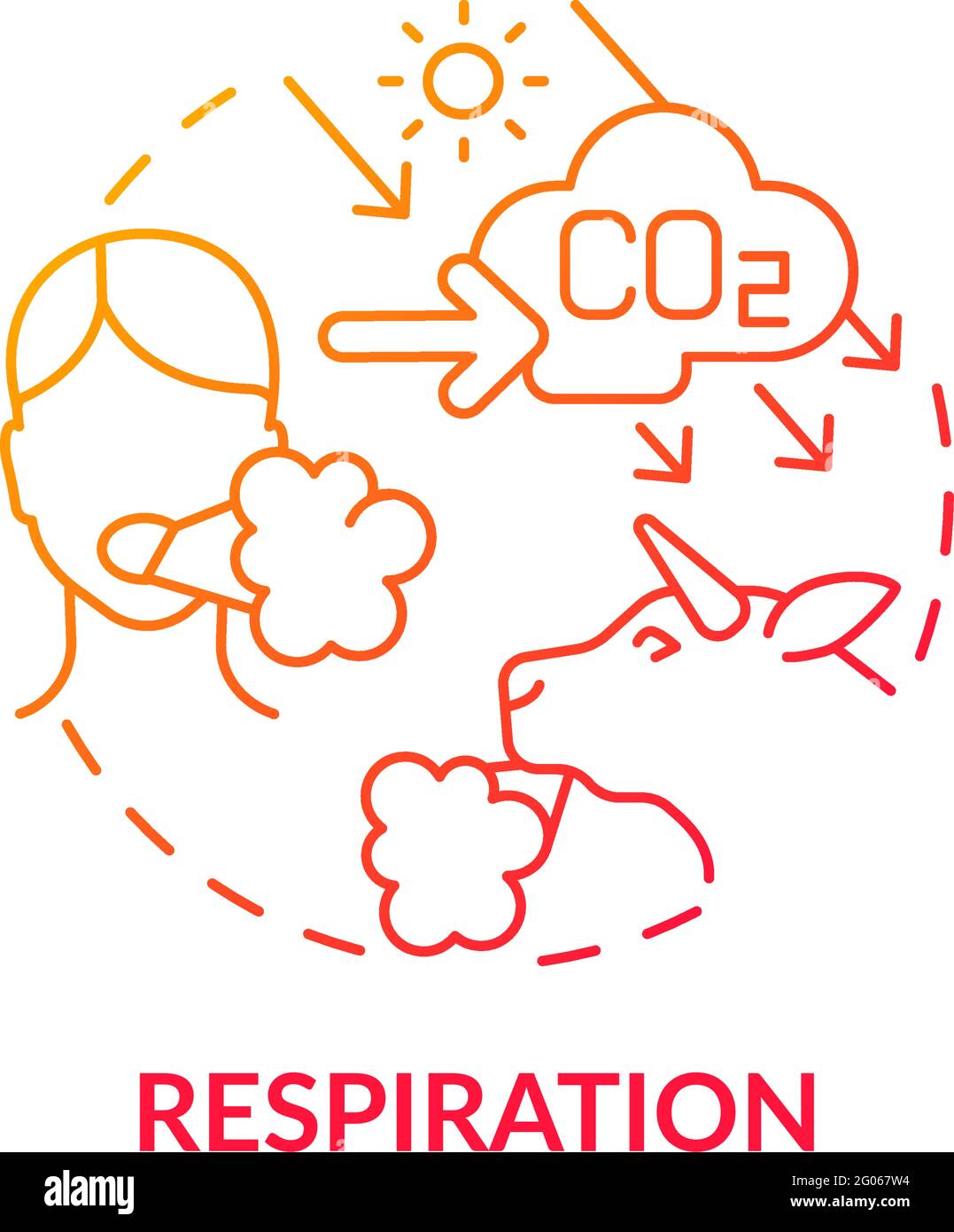 Respiration concept icon Stock Vector Image & Art - Alamy