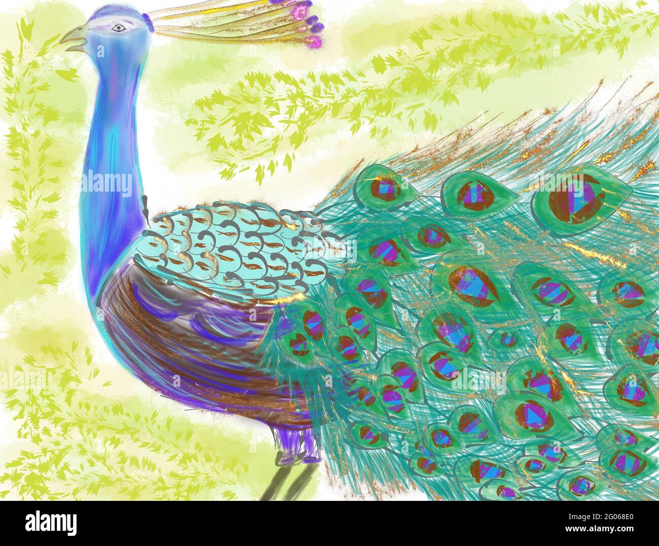 Digital illustration of a peacock Stock Photo - Alamy