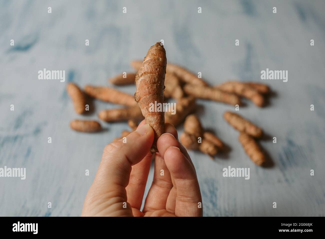 Hand holding turmeric root on wooden background. Close up view. Curcuma ...