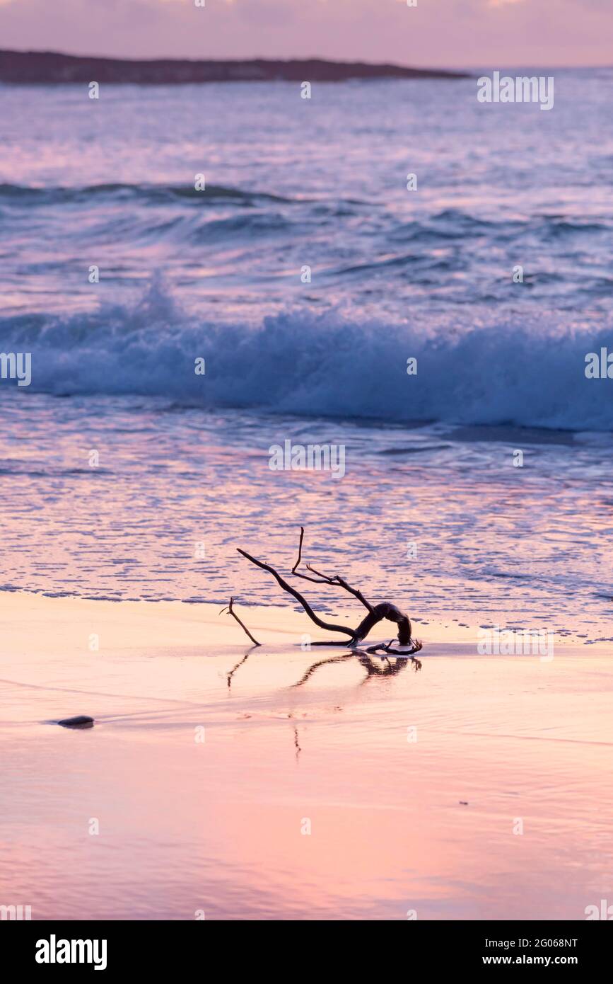 Wet riser hi-res stock photography and images - Alamy