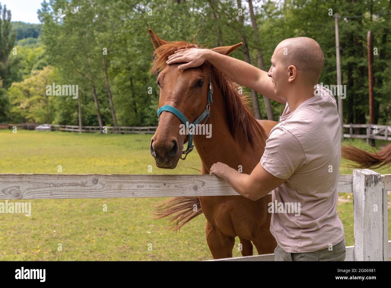 Young adult petting a horse at the ranch Stock Photo - Alamy