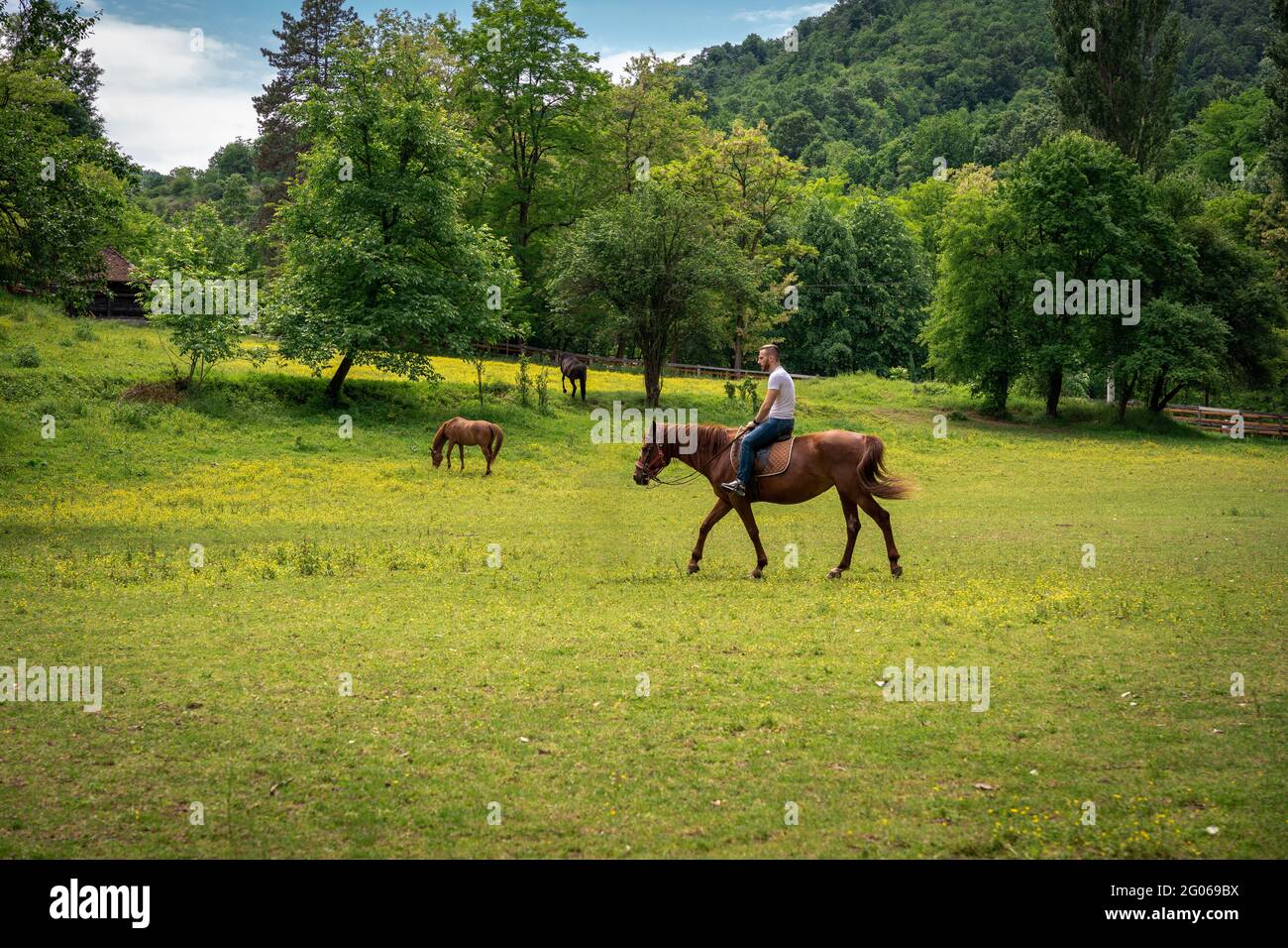 Riding in nature hi-res stock photography and images - Alamy