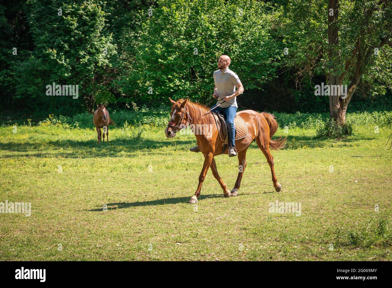 Man riding horse shaved head hi-res stock photography and images - Alamy