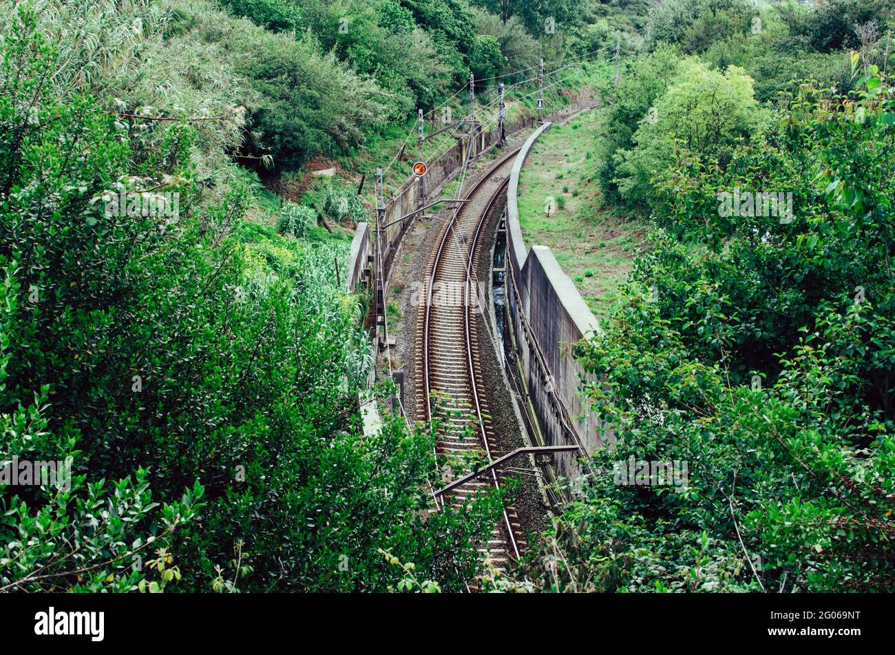 Train tracks in green nature Stock Photo - Alamy
