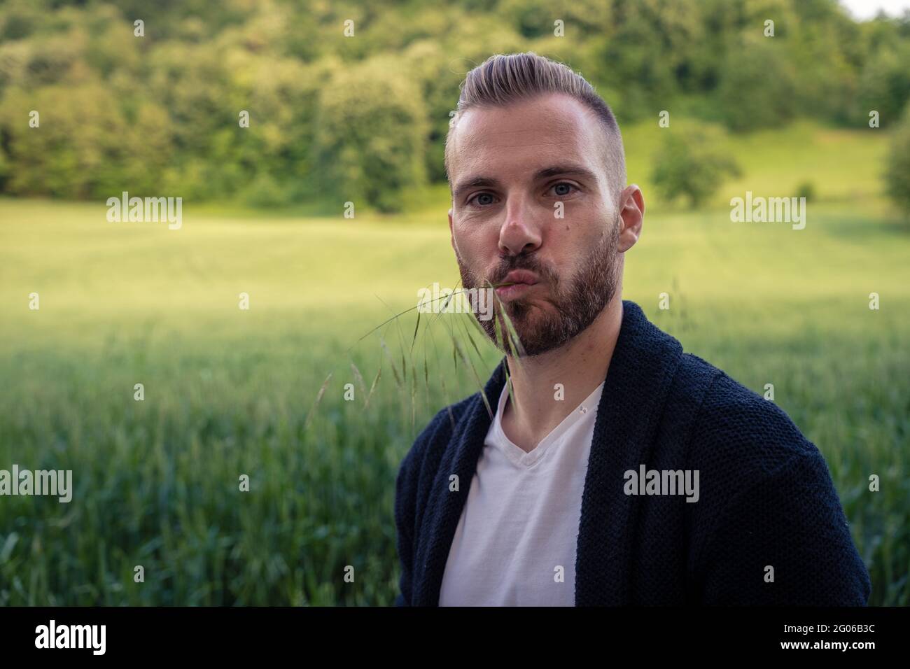 Bearded wheat hi-res stock photography and images - Alamy