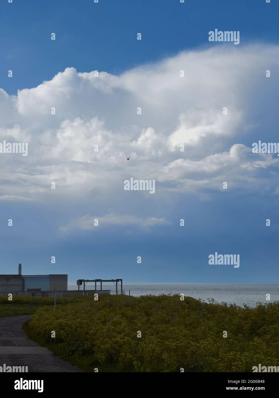 An intricate mass of towering white cloud in a rich blue immense sky ...