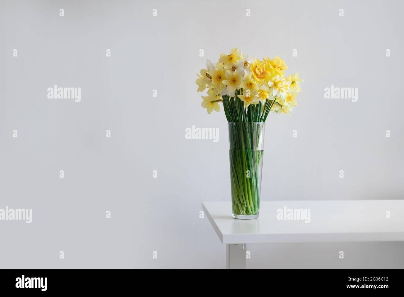 Beautiful spring yellow daffodils flowers in transparent vase on white ...