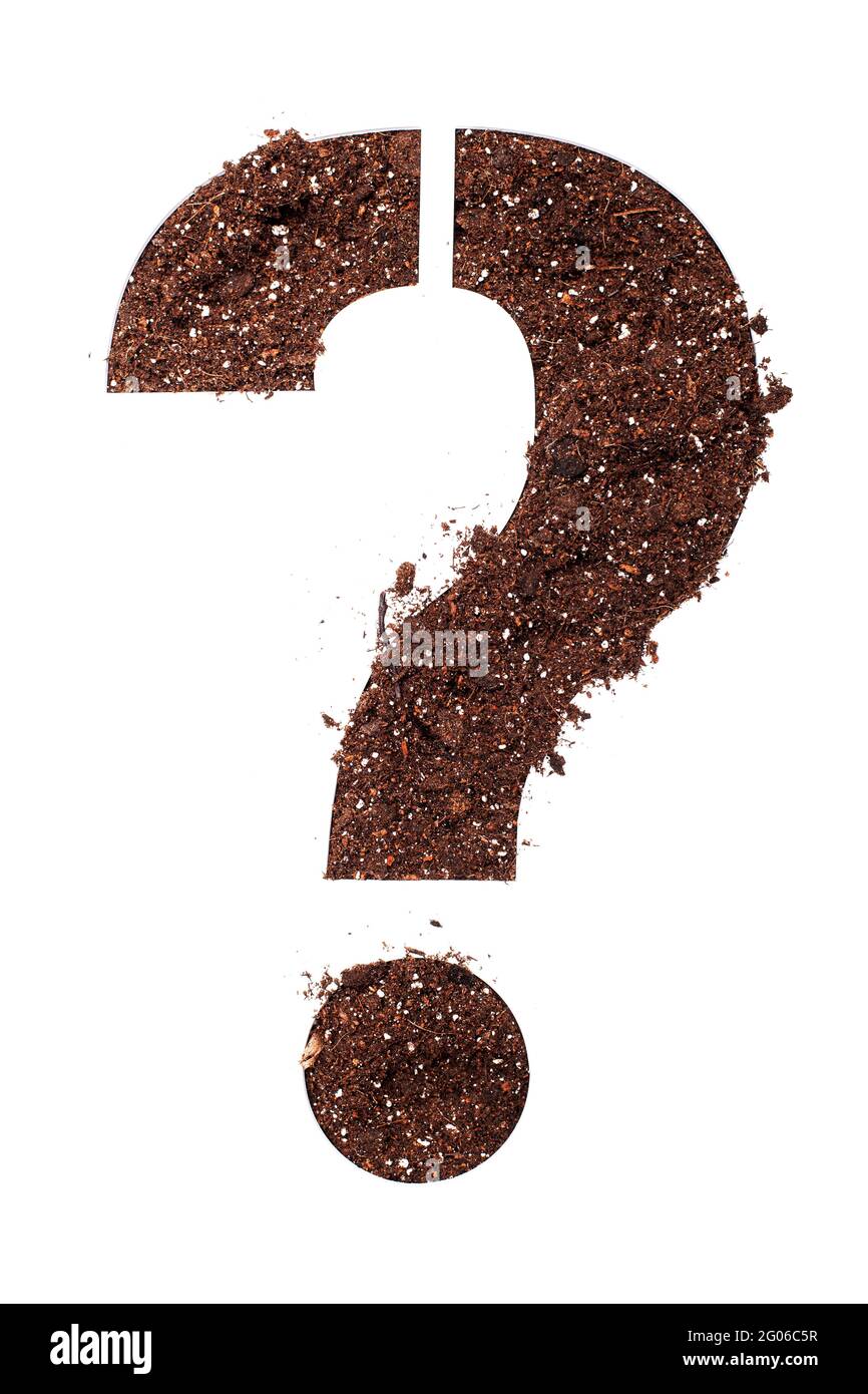 Riddler Question Mark Stencil