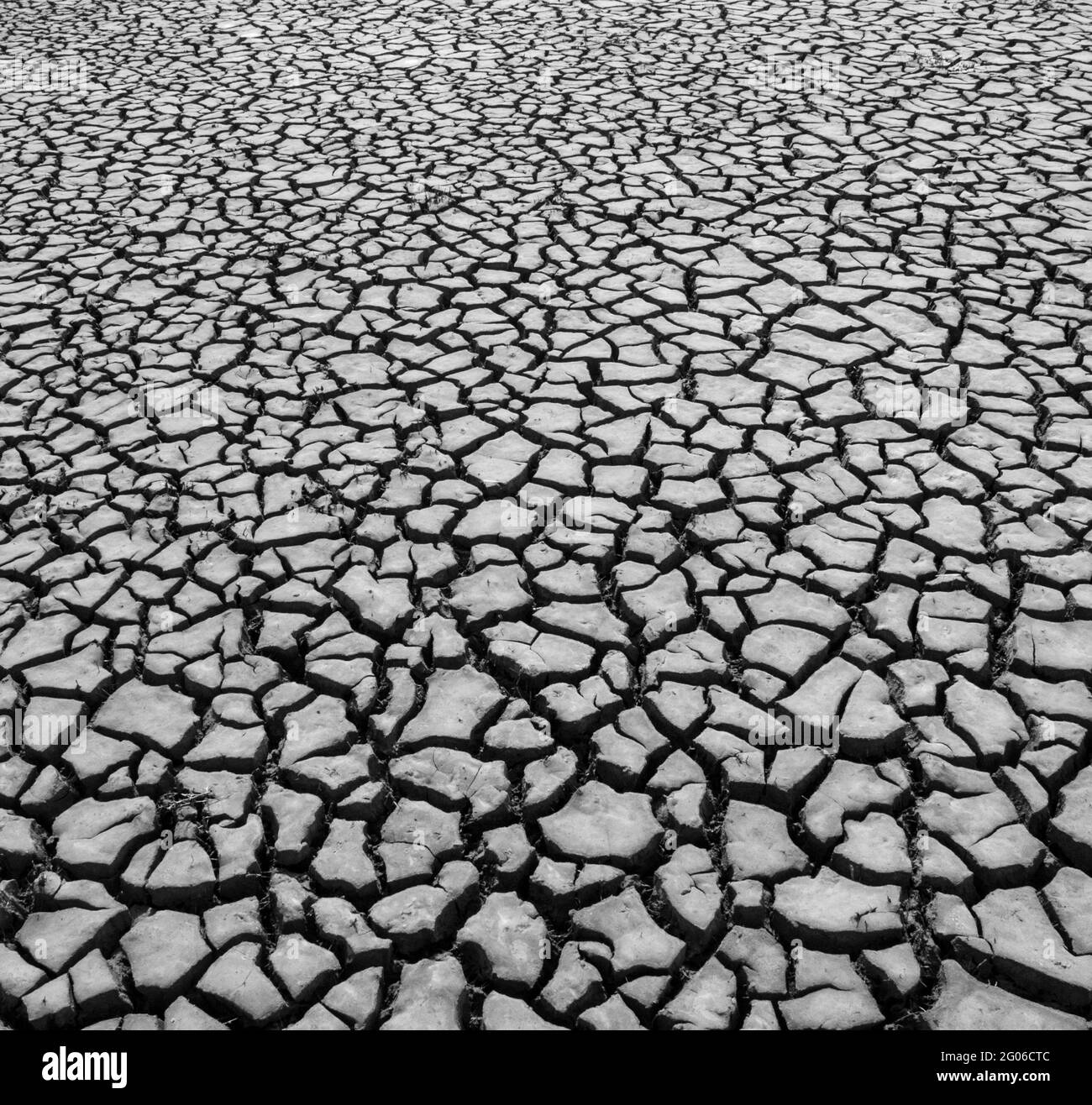 Desertification Black and White Stock Photos & Images - Alamy
