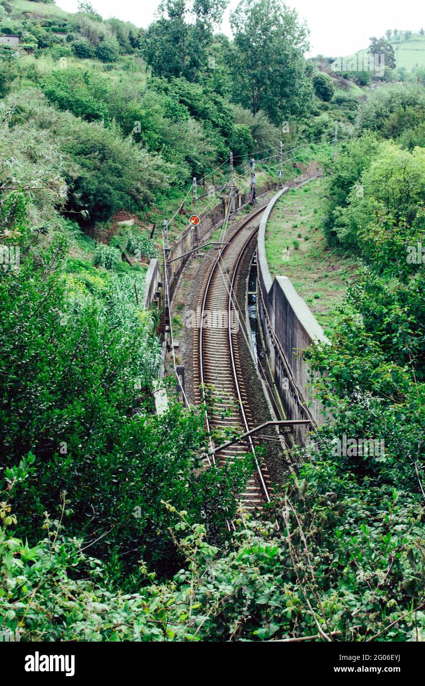 Train tracks in green nature Stock Photo - Alamy
