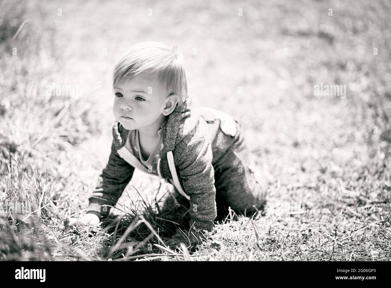 Baby crawling outside in garden hi-res stock photography and images - Alamy