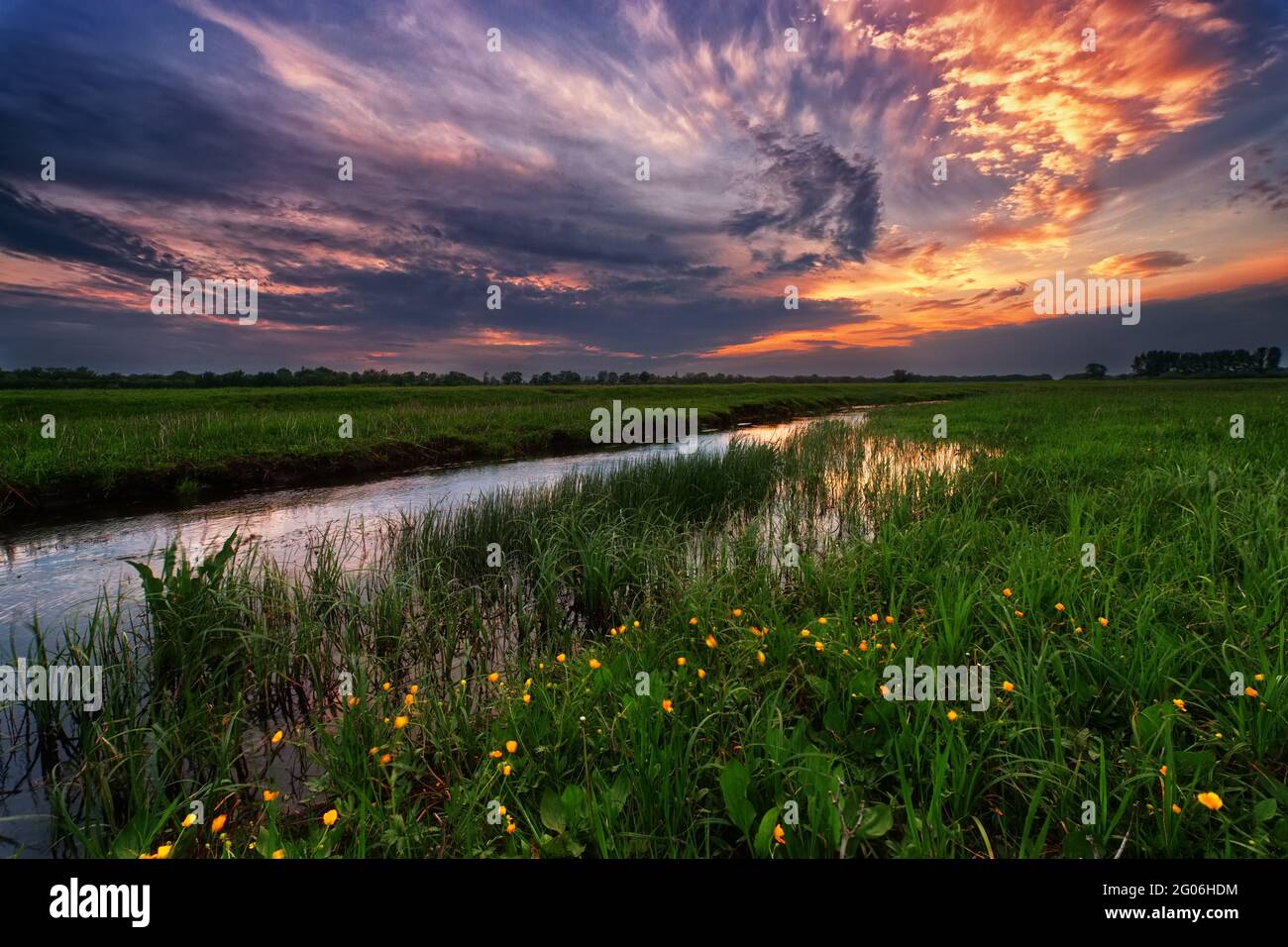 Beautiful spring sunset on the river, flowers and herbs Stock Photo - Alamy