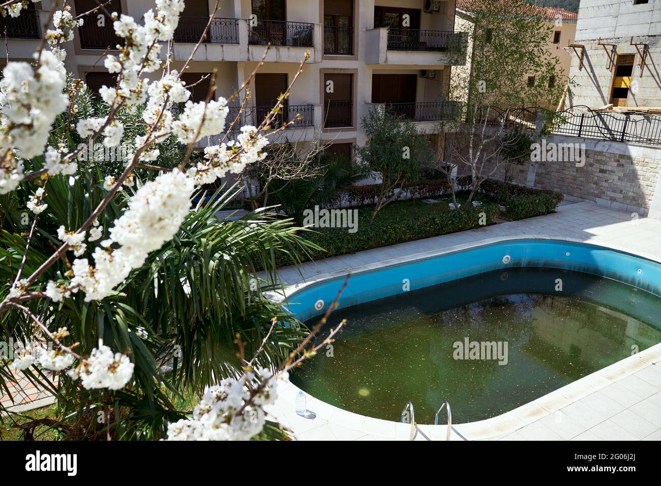 Dirty backyard swimming pool, muddy dark water before cleaning Stock ...