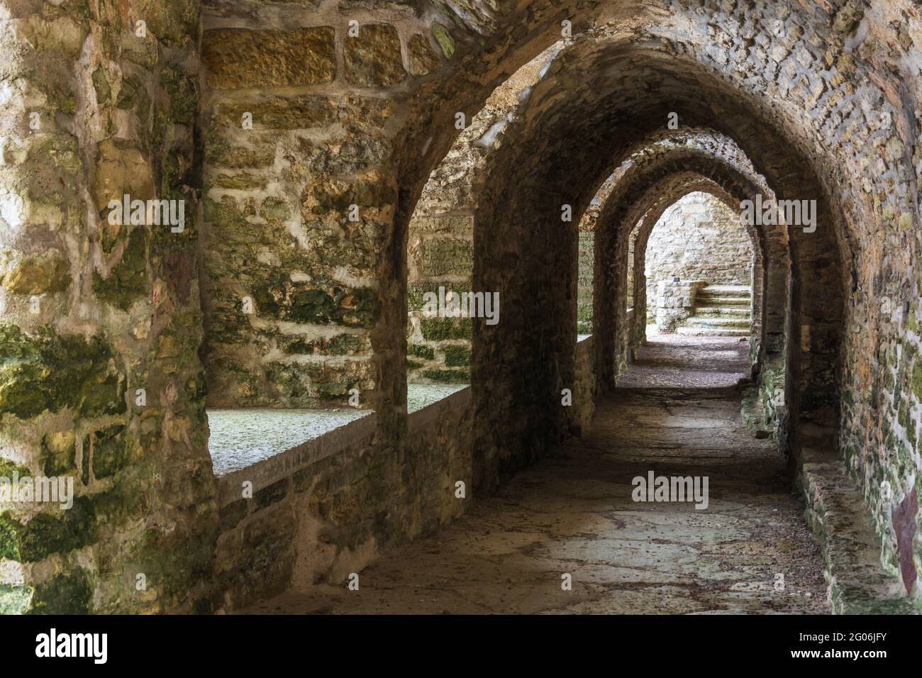 Medieval St. Brigitta monastery (Pirita klooster) ruins in winter in ...