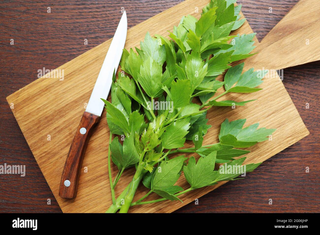 Fresh lovage leaves on hi-res stock photography and images - Alamy