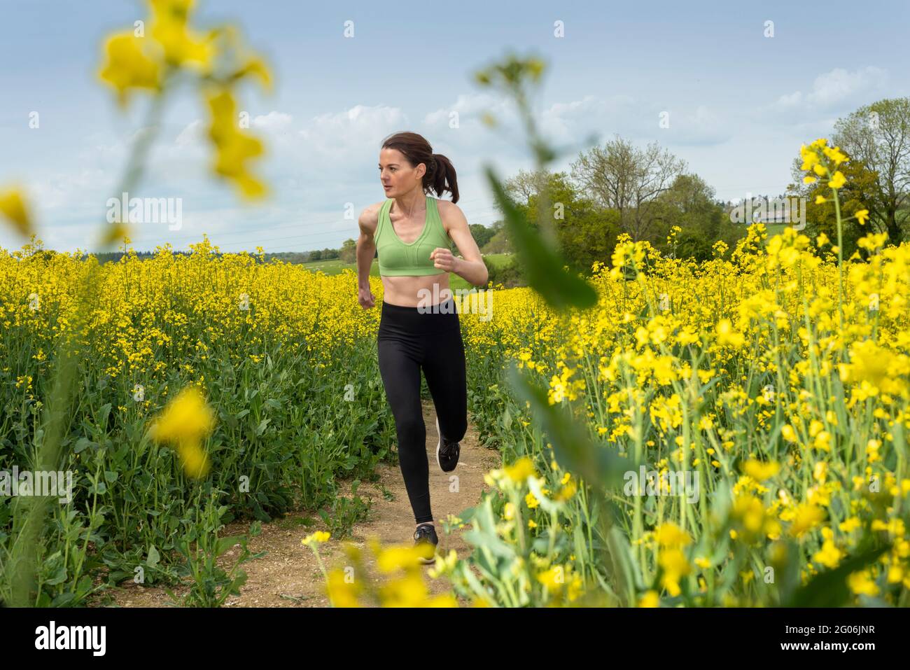 Female runner, jogging through a yellow rapeseed field in the sun ...