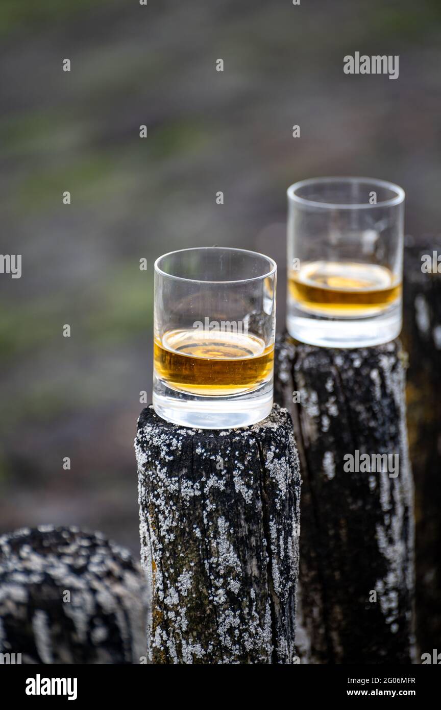 Tasting of dram single malt scotch whisky on seashore in Scotland, old ...