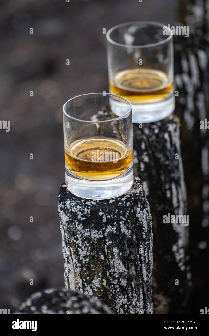 Tasting of dram single malt scotch whisky on seashore in Scotland, old ...