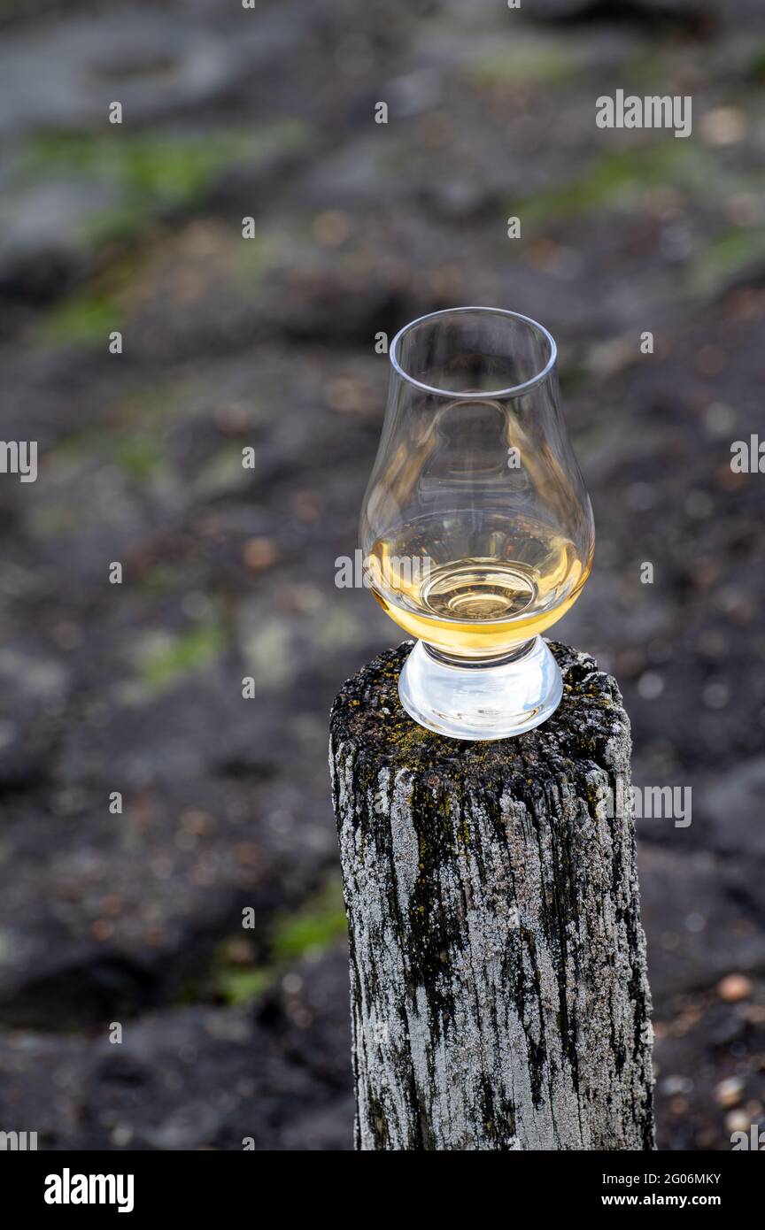 Tasting of dram single malt scotch whisky on seashore in Scotland, old ...