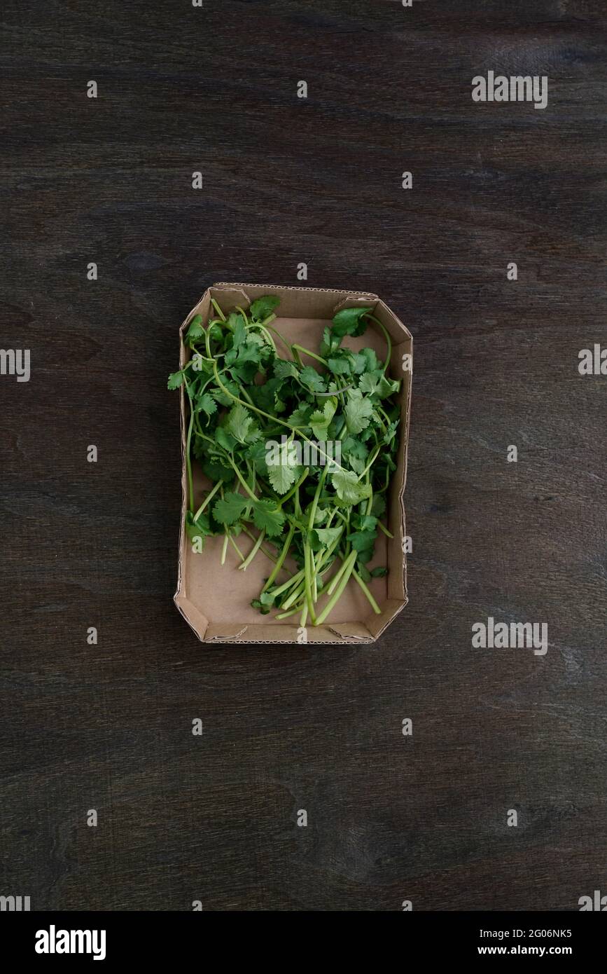Fresh coriander leaves in a cardboard box on wooden background, copy ...