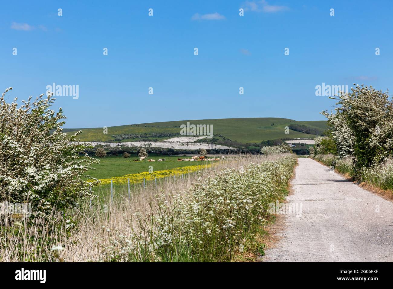 Cows parsley landscape hi-res stock photography and images - Alamy
