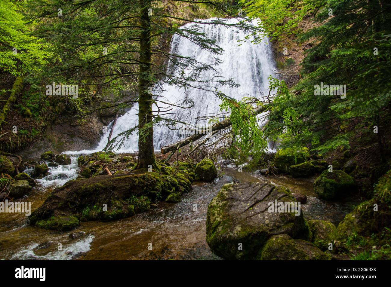 waterfall in de coin in cantal in france Stock Photo - Alamy