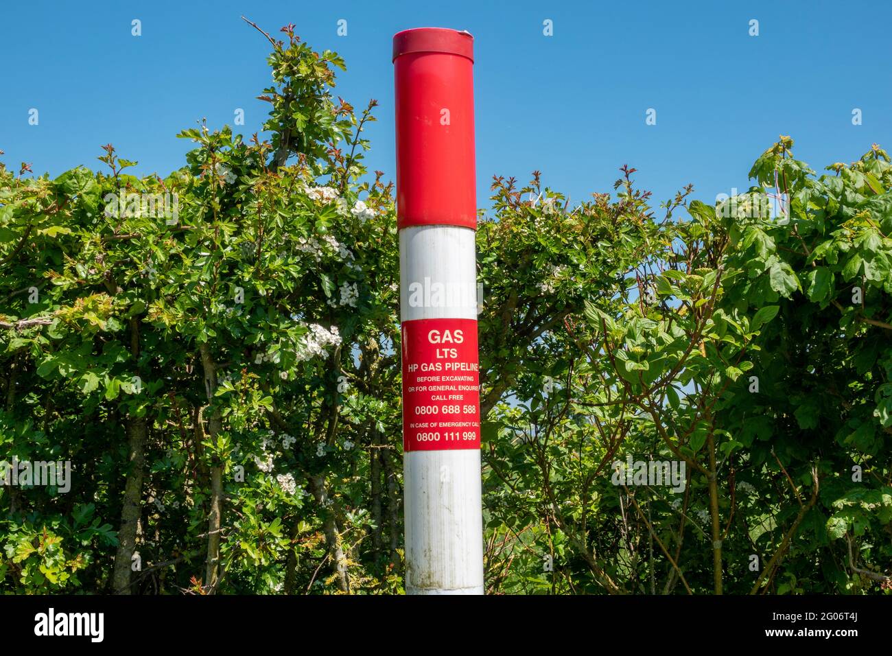 Red and white striped warning poles for the presence of buried gas pipe ...