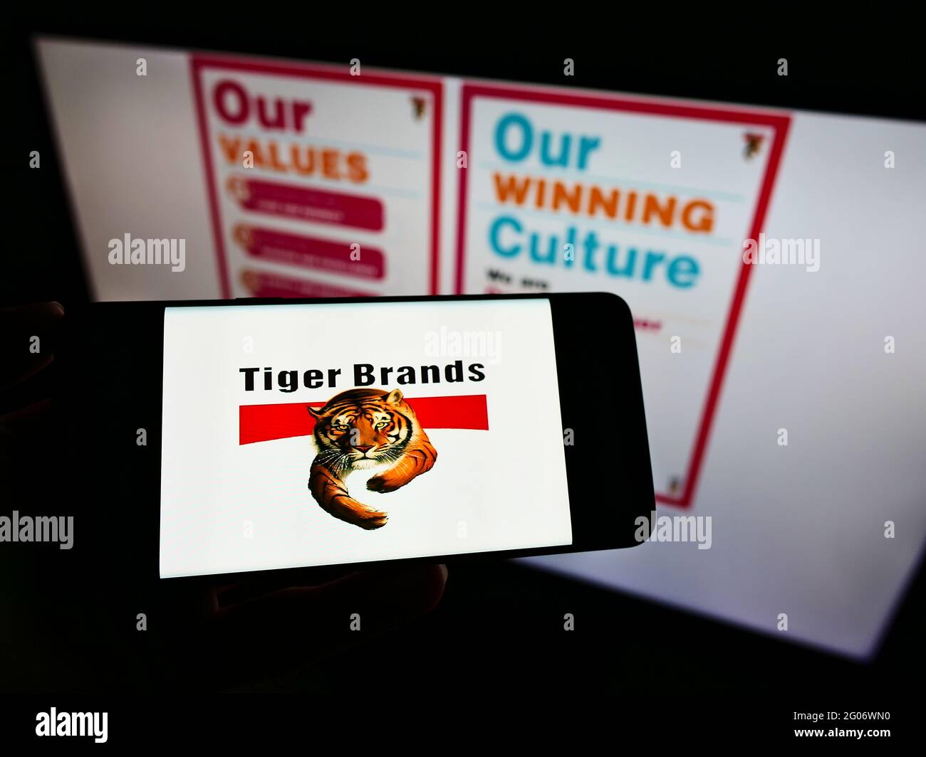 Tiger logo hi-res stock photography and images - Alamy