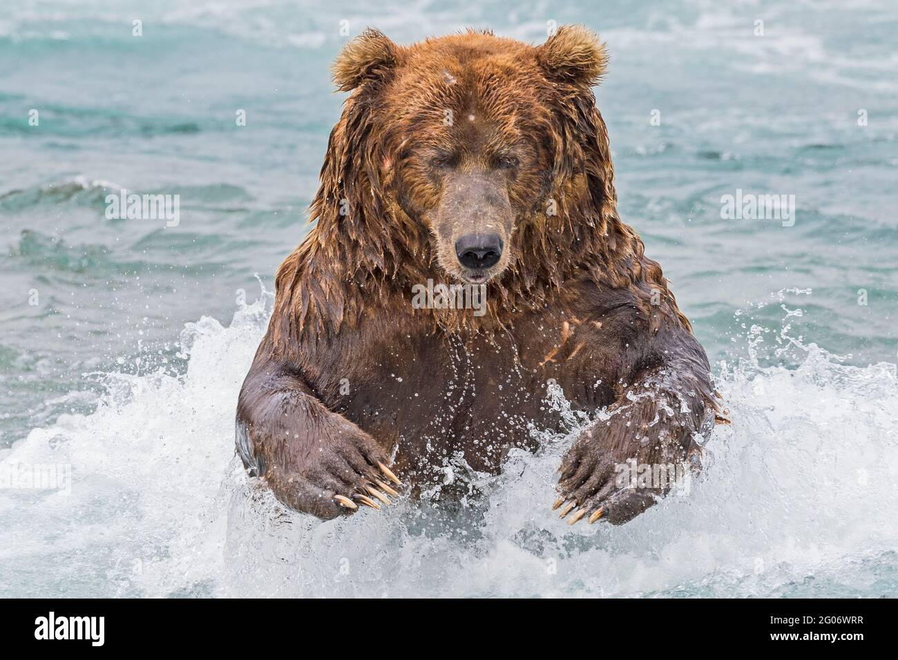 Mcneil river hi-res stock photography and images - Alamy