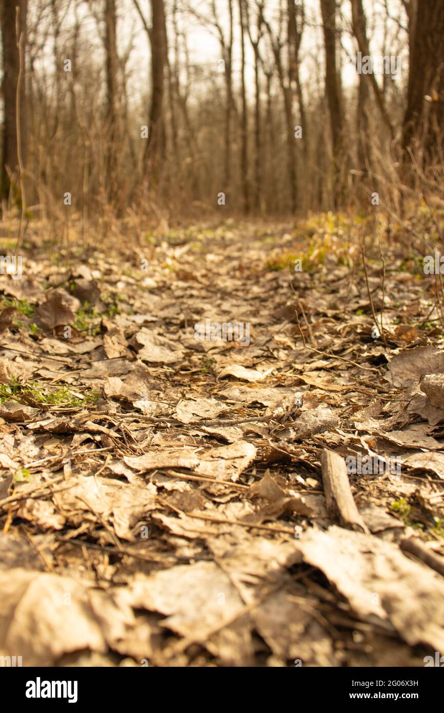 Yellow pathway hi-res stock photography and images - Alamy