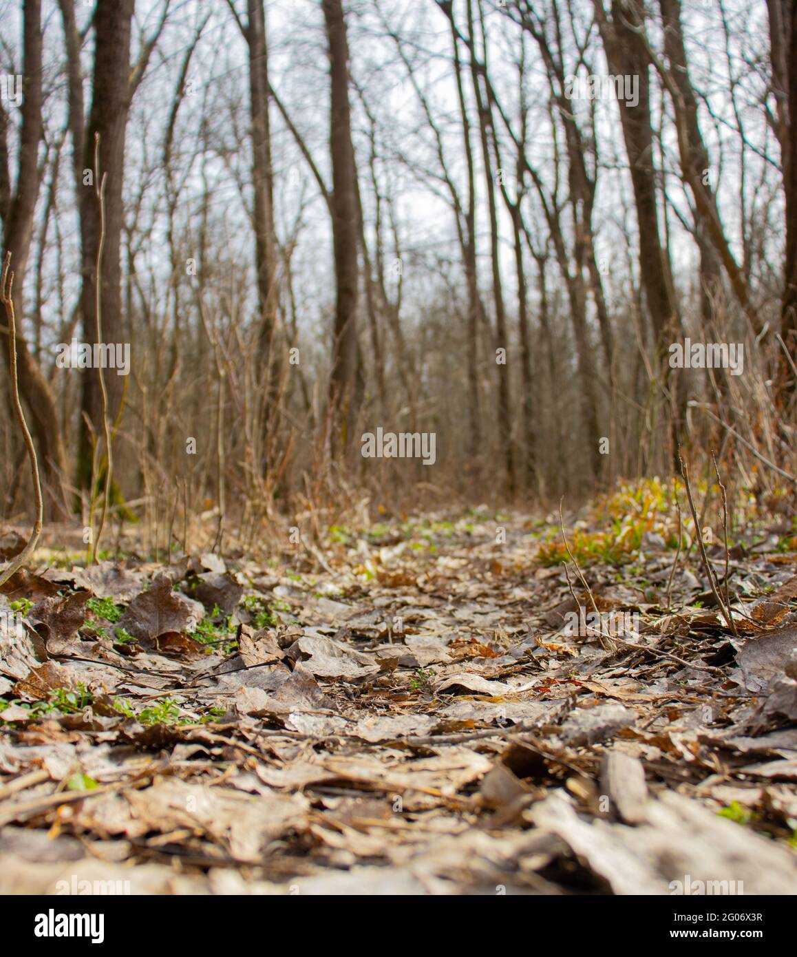 Yellow pathway hi-res stock photography and images - Alamy