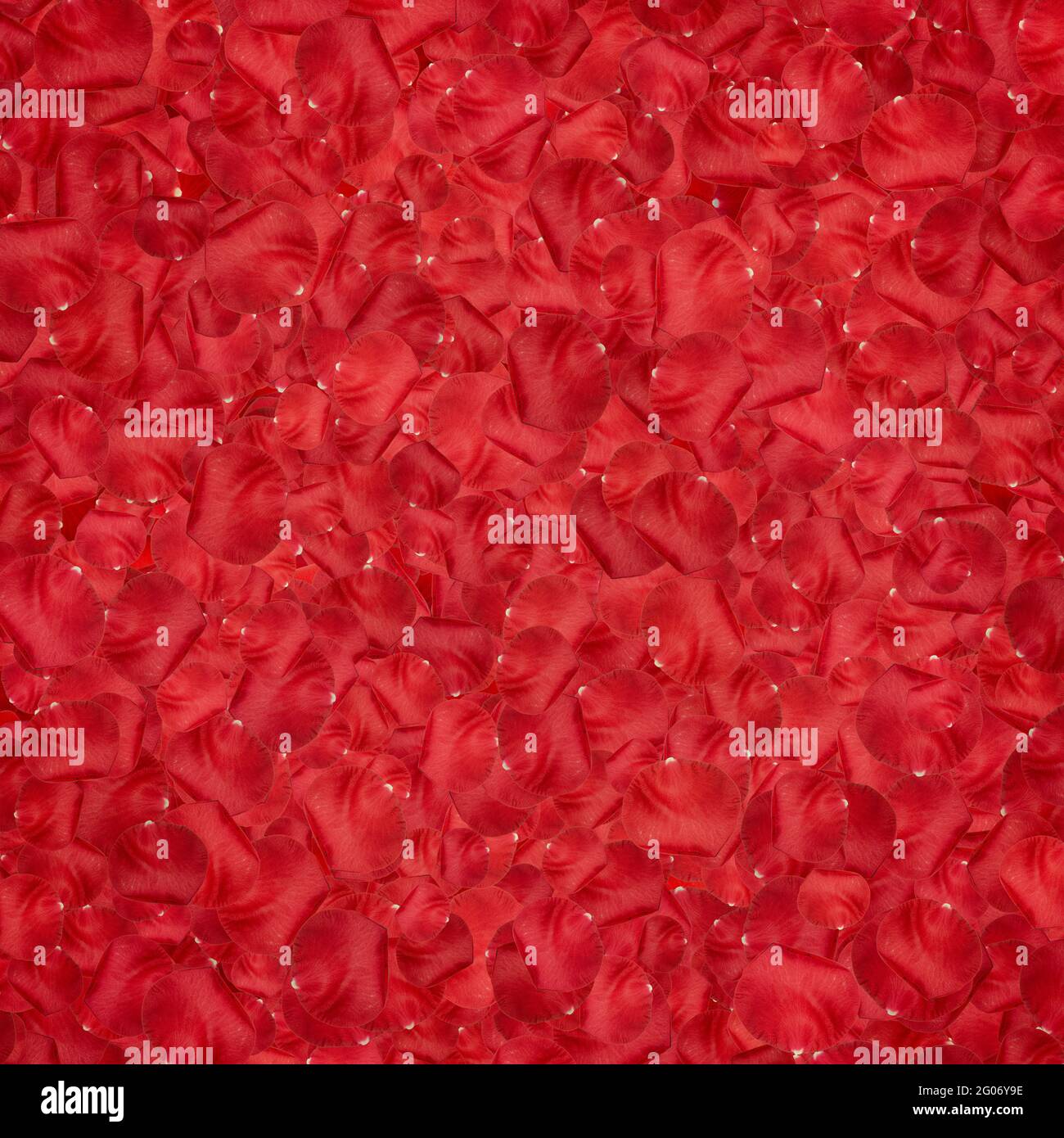 Red Rose Petals Photo Background Stock Photo - Alamy