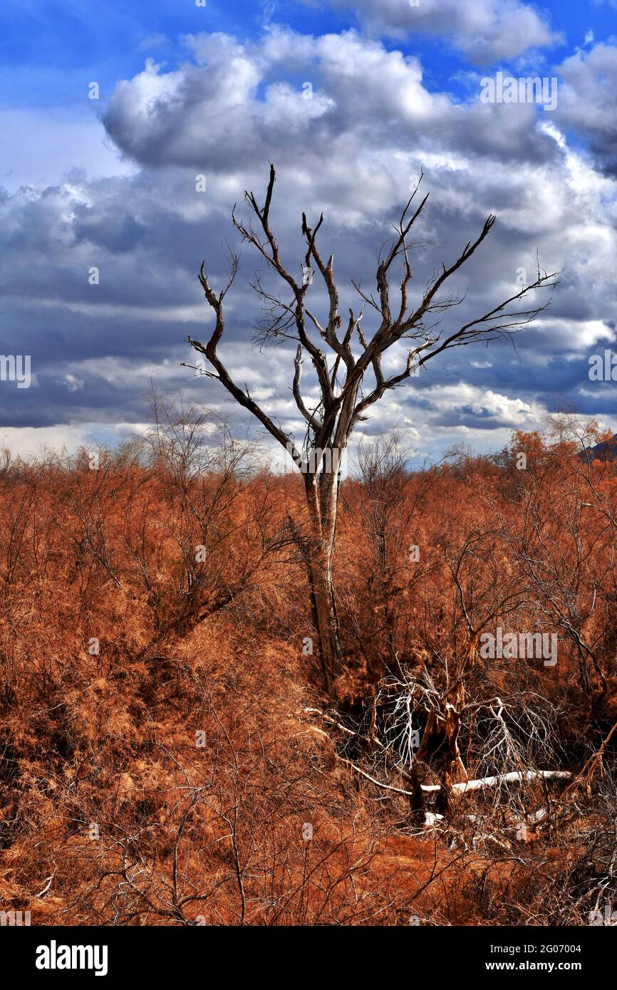 Sun hot cloud storm hi-res stock photography and images - Alamy