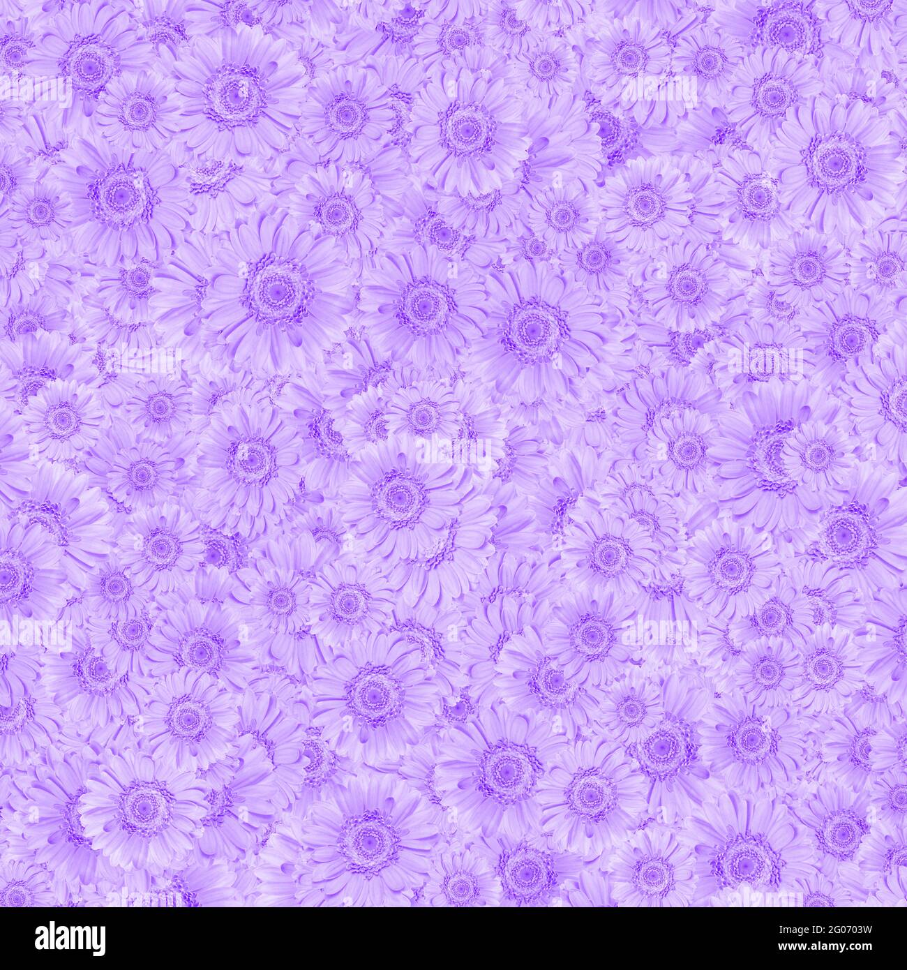 Beautiful bright pink pattern hi-res stock photography and images - Alamy