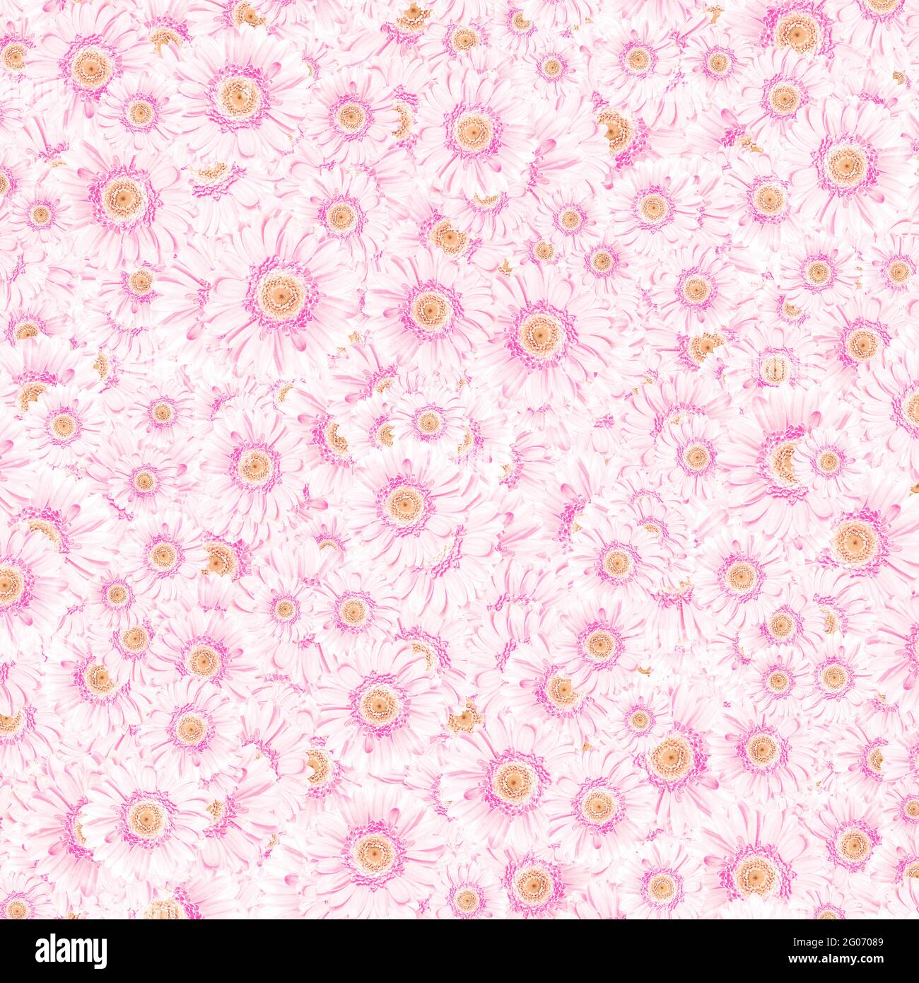 Beautiful bright pink pattern hi-res stock photography and images - Alamy